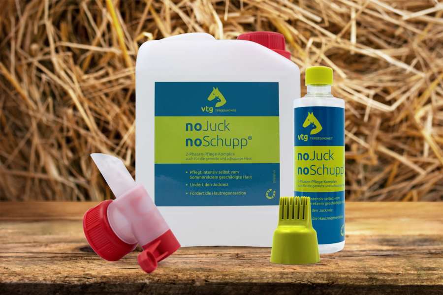 Ekwi Schlauchpflege für Pferde | VTG Tiergesundheit