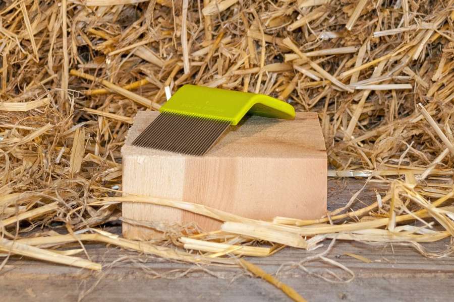 Ekwi Schlauchpflege für Pferde | VTG Tiergesundheit